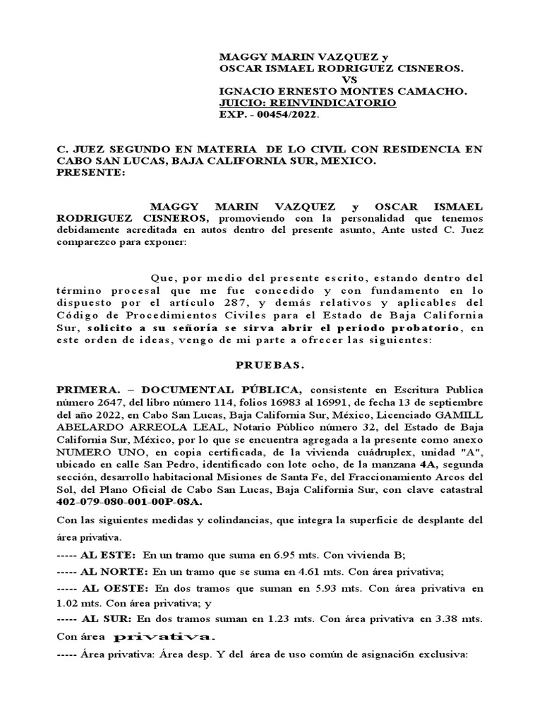 MAGGY MARIN VAZQUEZ Abrir Periodo Probatorio y Ofrecimiento de Pruebas ...