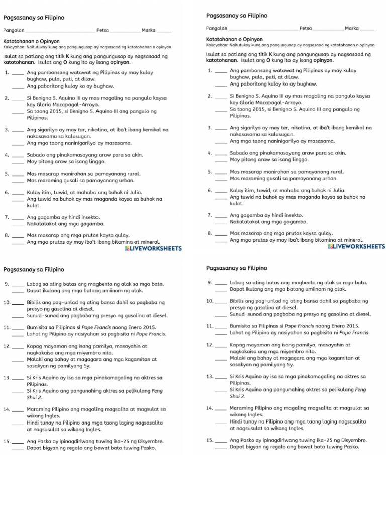 Katotohanan at Opinyon Worksheet | PDF