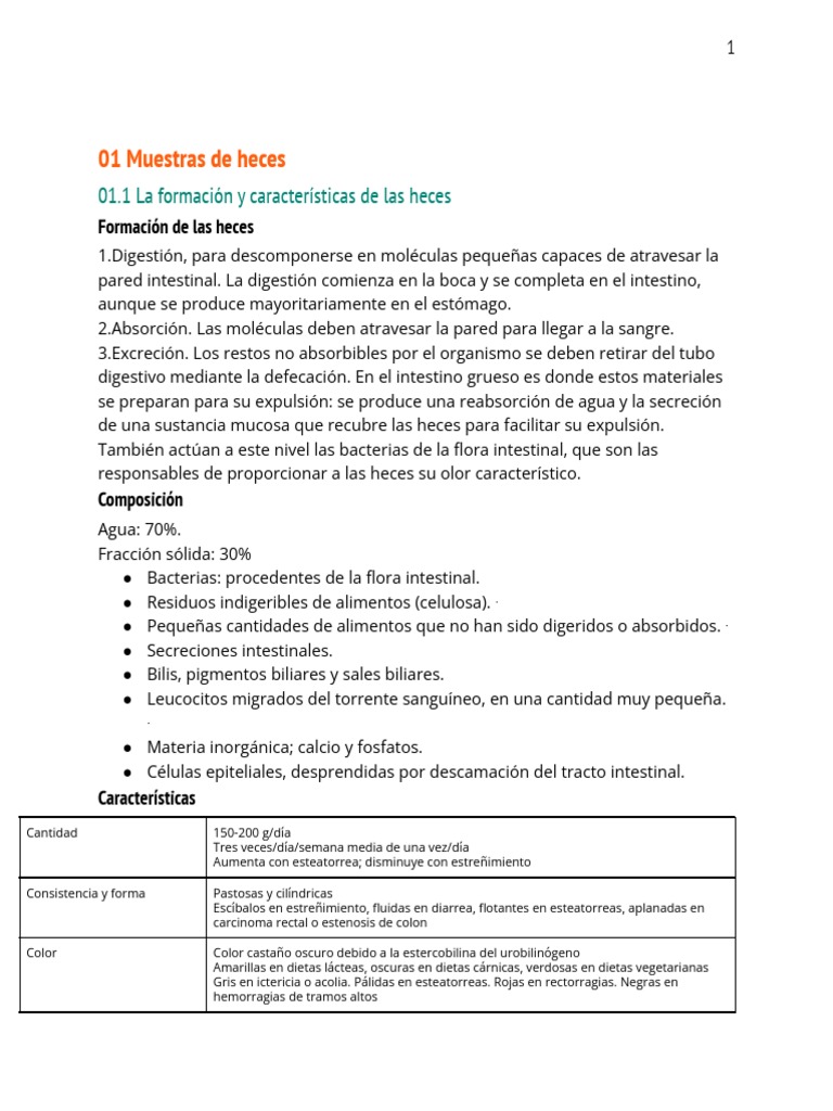 01 Muestras de Heces: 01.1 La Formación y Características de Las Heces ...