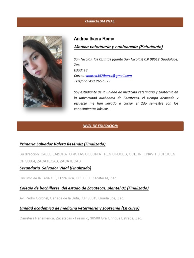 Curriculum Vitae - Ibarra Romo Andrea | PDF