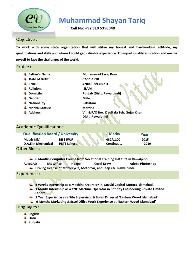 CV Shayan Tariq | PDF