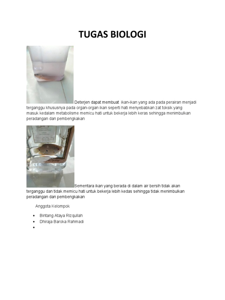 Tugas Biologi | PDF