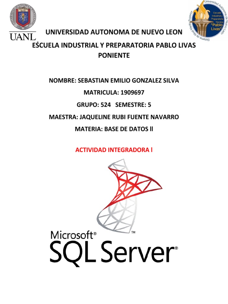 Actividad Integradora Base de Datos | PDF | Gestión de datos | SQL