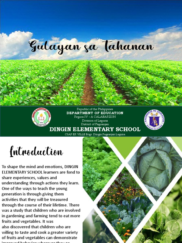 Gulayan Sa Tahanan | PDF