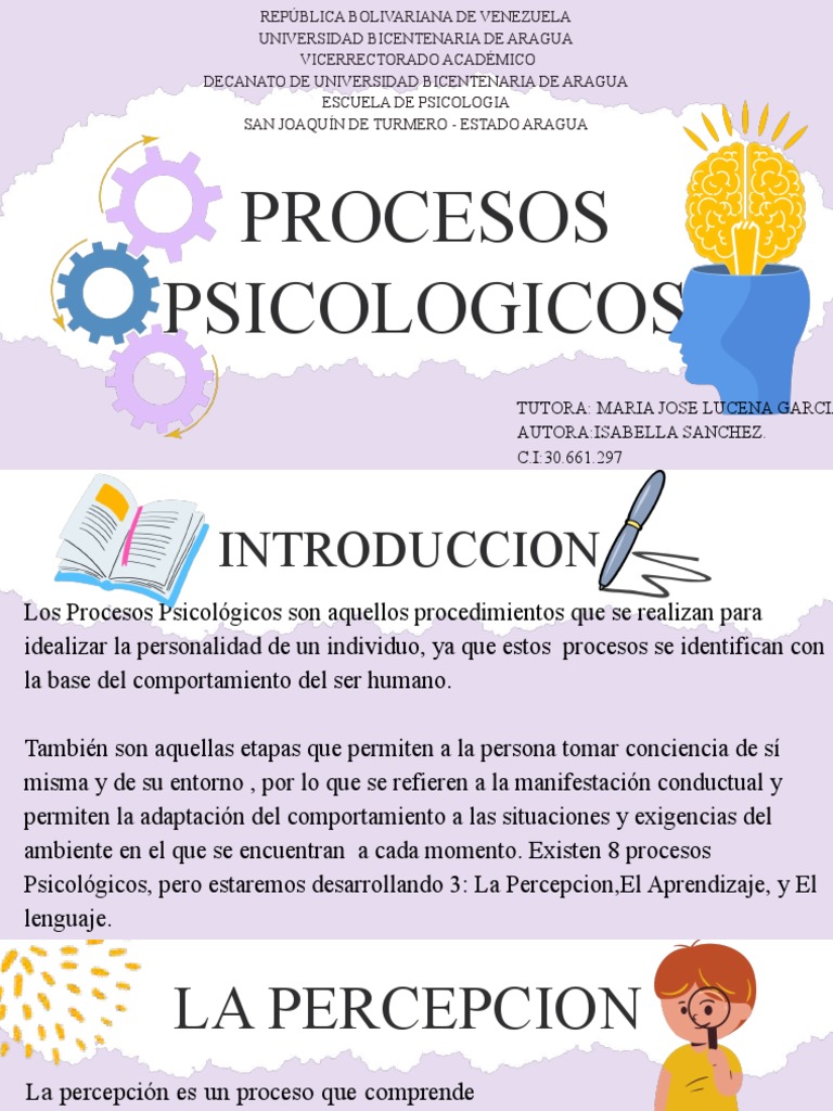 Procesos Psicologicos | PDF