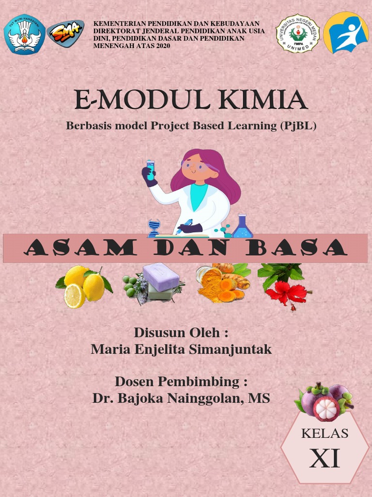 E-Modul Interaktif Asam dan Basa | PDF