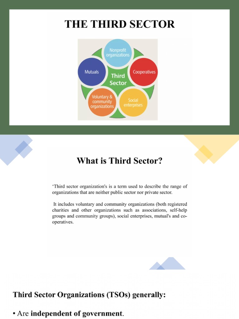 The Third Sector | PDF