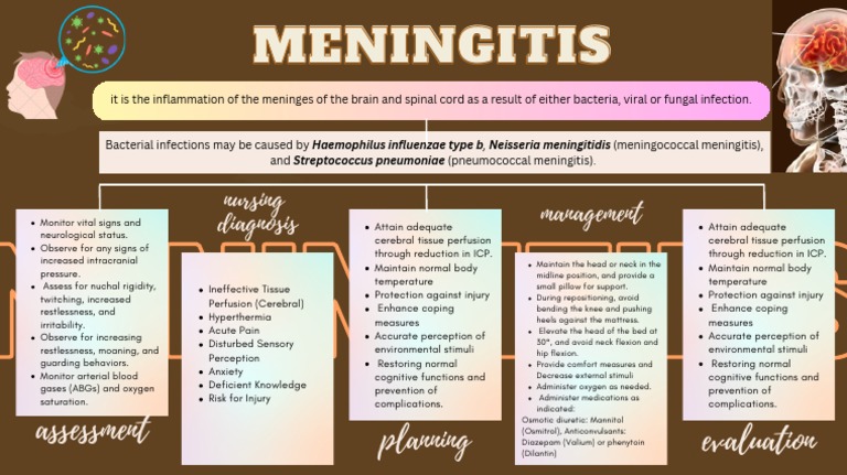 Rosal, M.D - Concept Map Meningitis | PDF