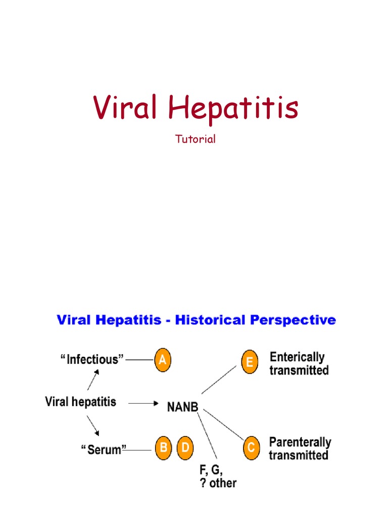 Viral Hepatitis Tutorial | PDF | Hepatitis | Viral Diseases