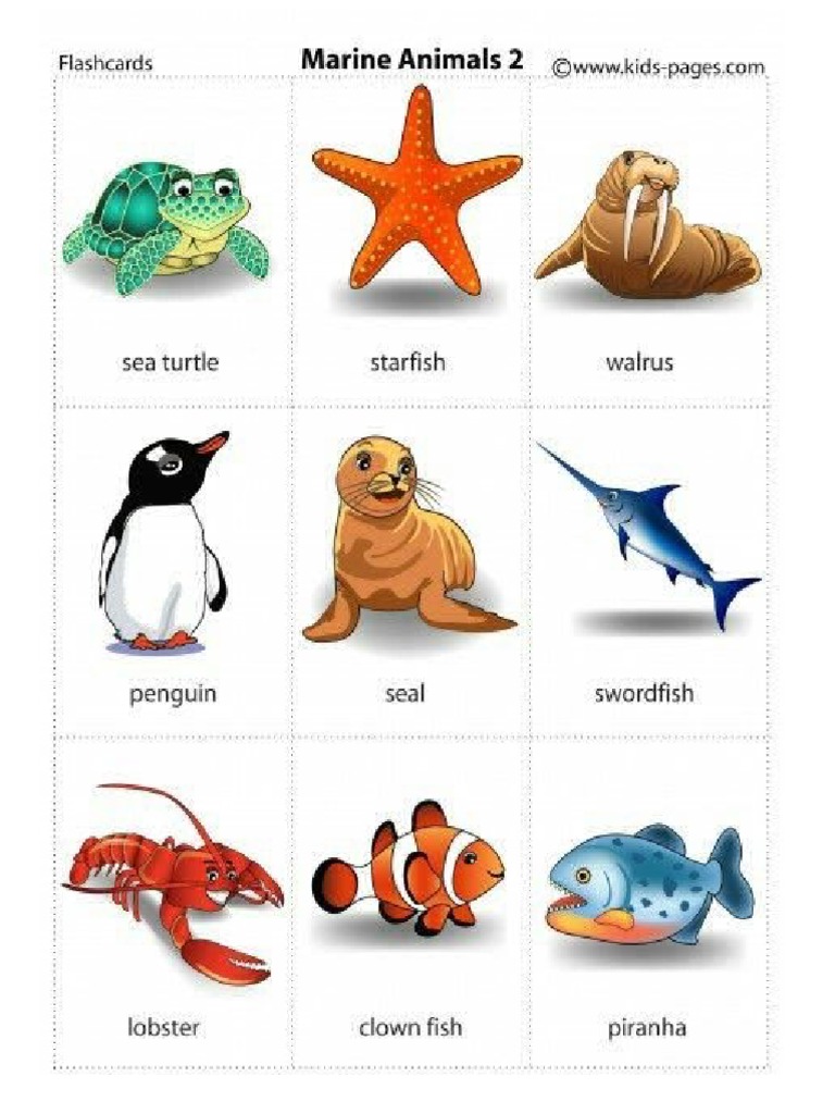 Animales Marinos Ingles | PDF