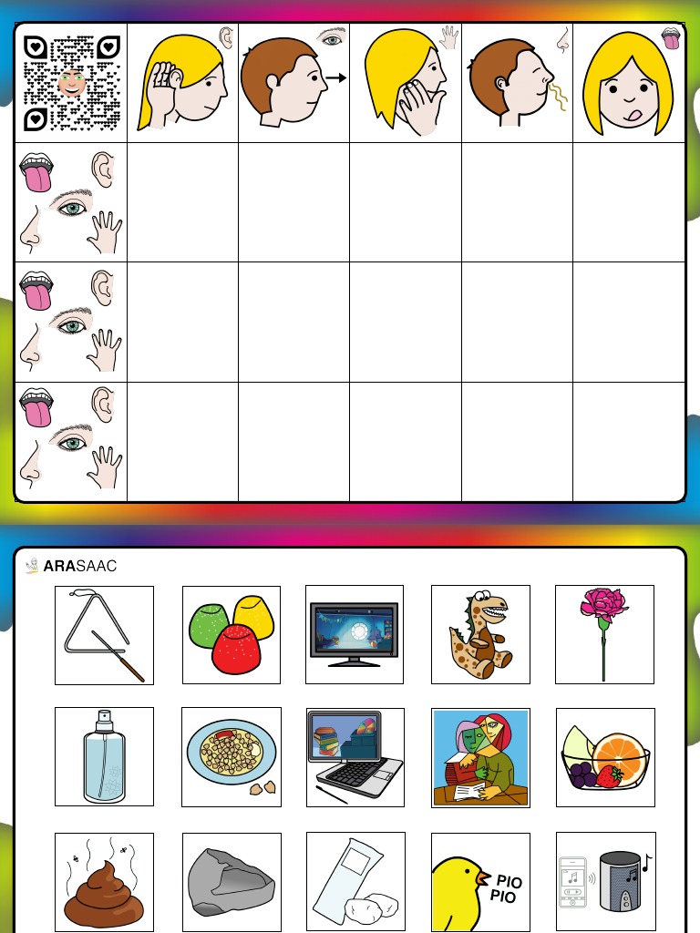 5 Sentidos Copia 2 | PDF