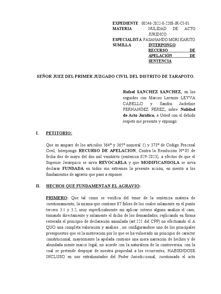 Apela Sentencia Nulidad Acto Juridico | PDF