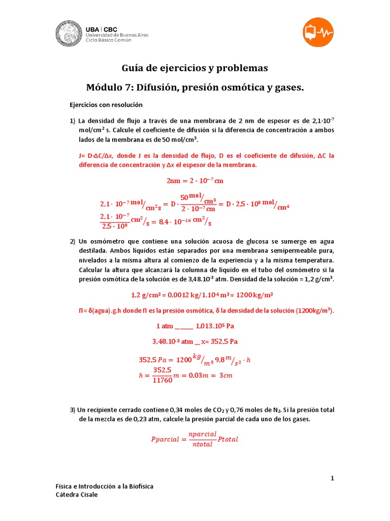 7 GuÃ - A Ejercicios Prã¡cticos | PDF | Ósmosis | Sustancias químicas