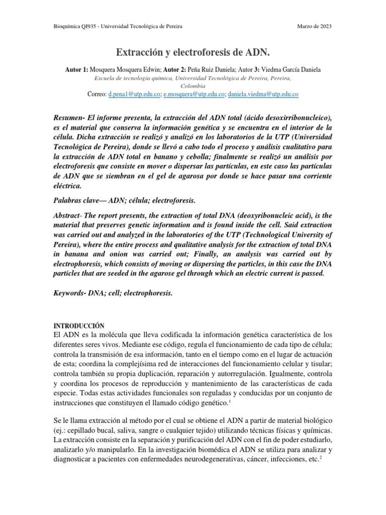 Inform 2 - Extracción y Electroforesis de ADN | PDF | Adn | Electroforesis