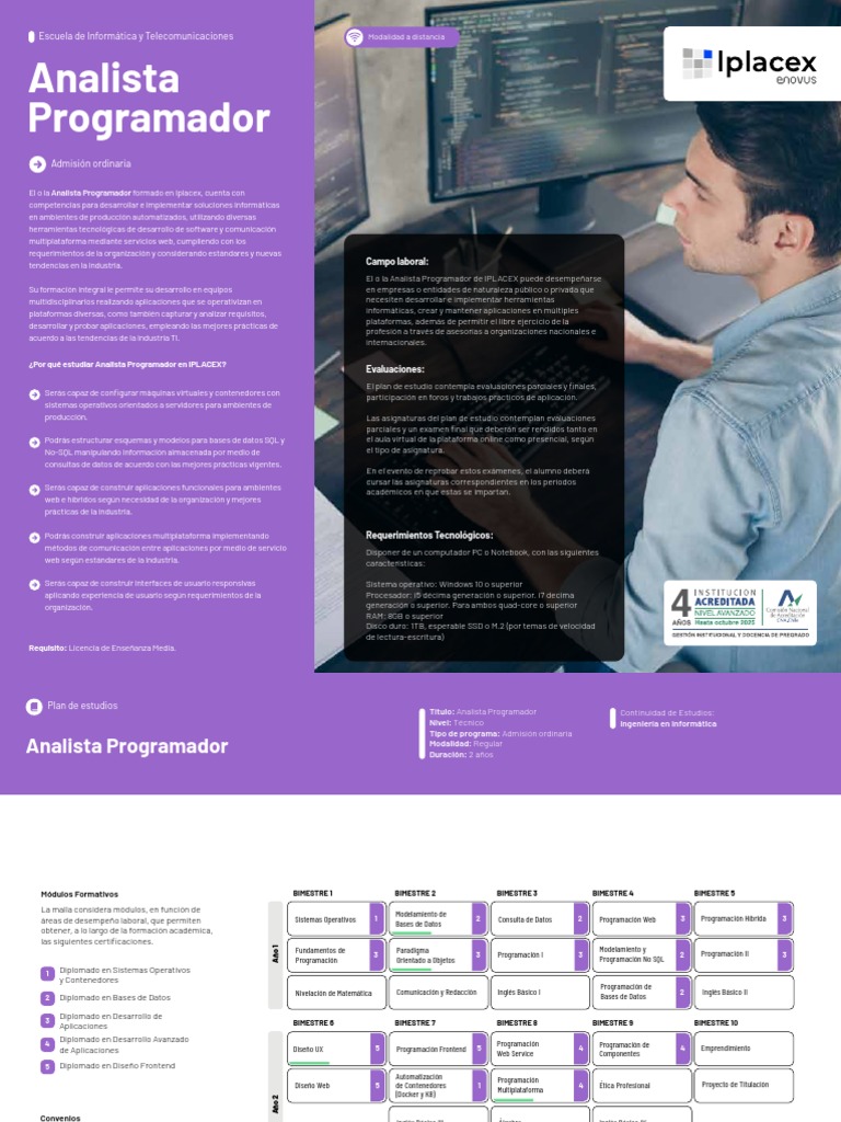 Analista Programador | PDF | Software de la aplicacion | Bases de datos