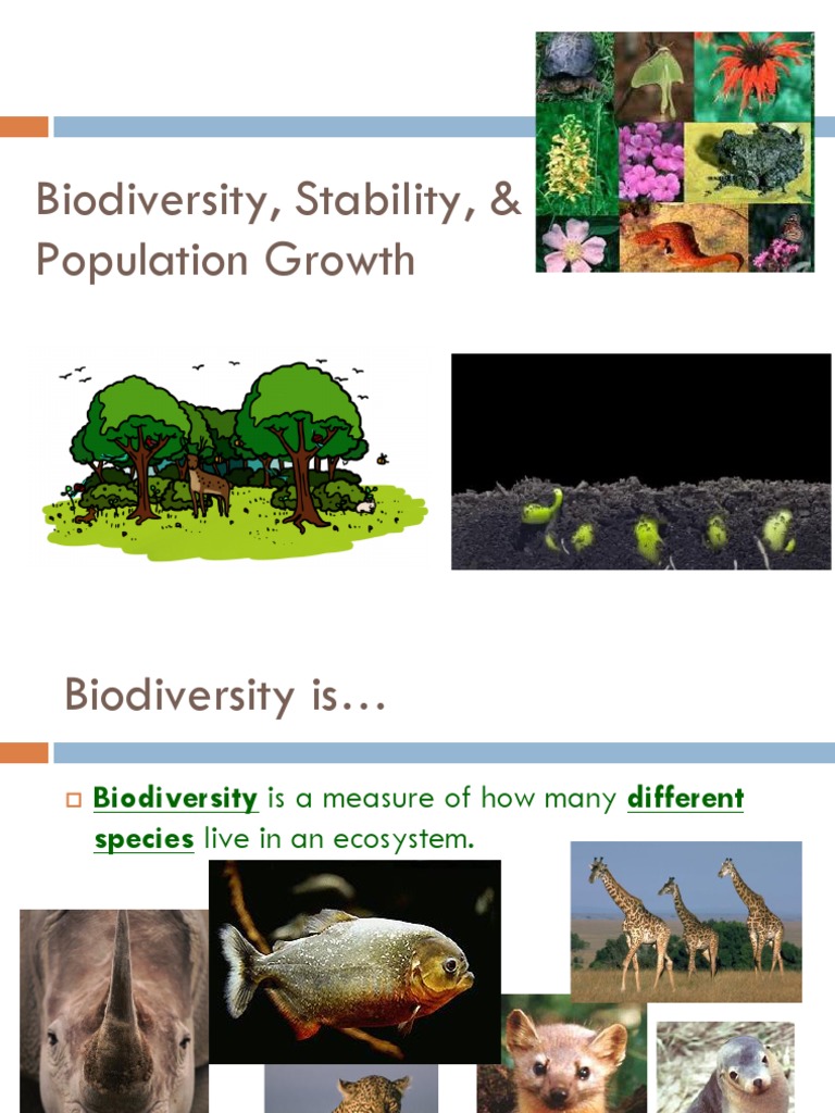 Biodiversity Pdf Biodiversity Ecosystem