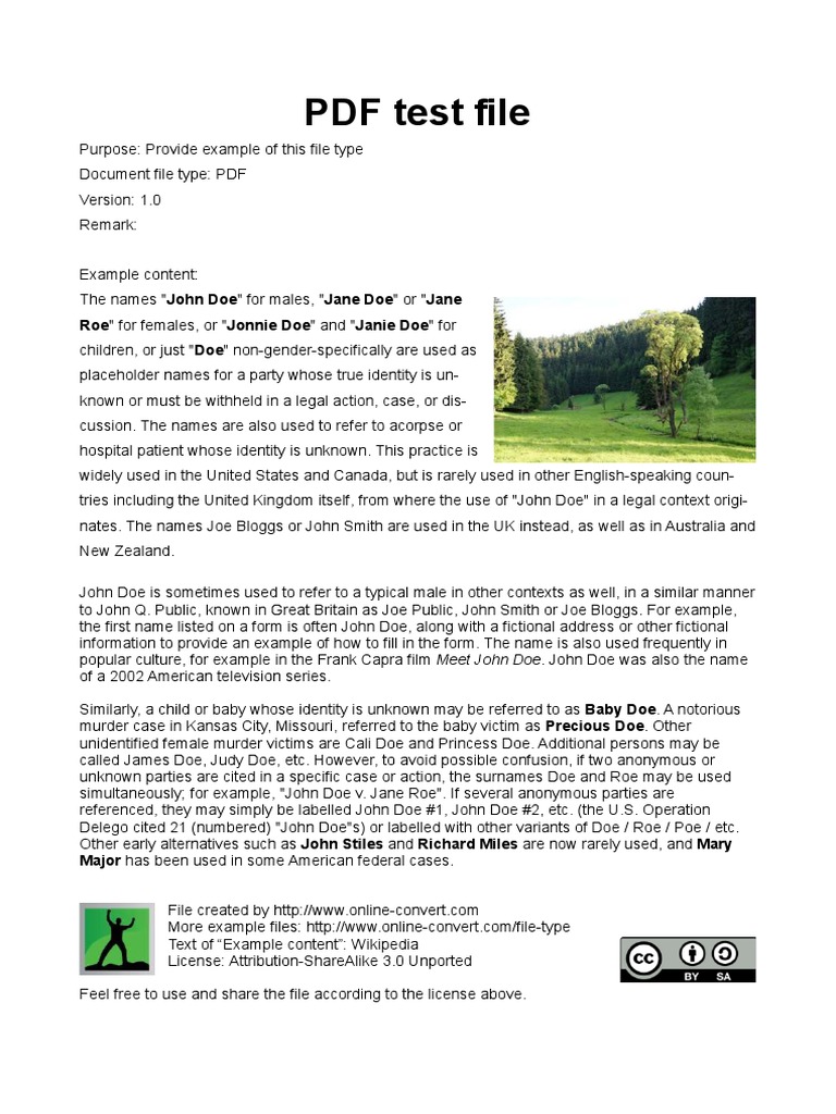 Example Pdf John Doe