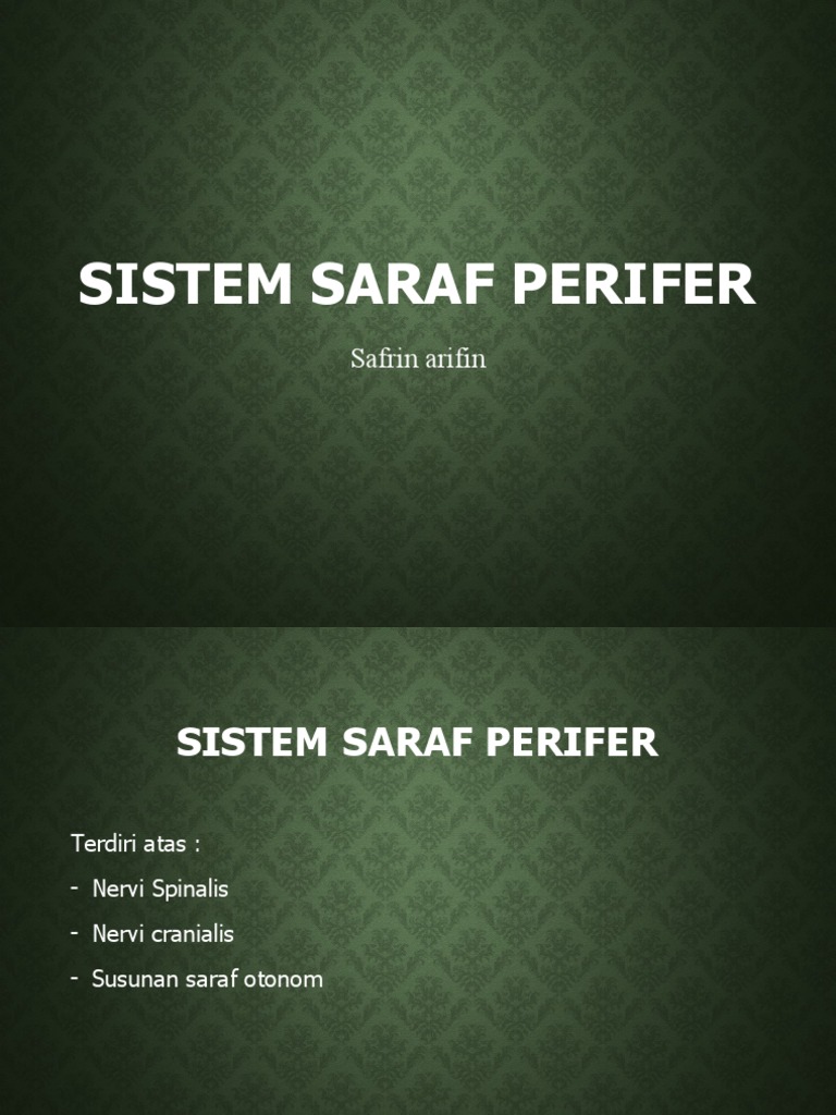 Struktur dan Fungsi Sistem Saraf Perifer | PDF