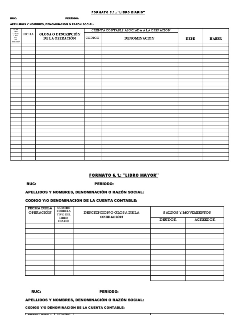 Formatos de Libro Contables | PDF | Contabilidad | Economía Financiera
