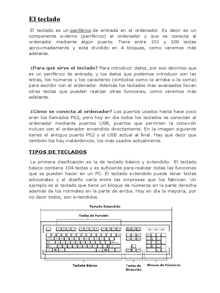 Qué Es El Teclado y Sus Partes | PDF