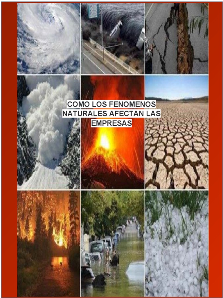 Impacto de Fenómenos Naturales en Empresas | PDF | Incendios | Portugal