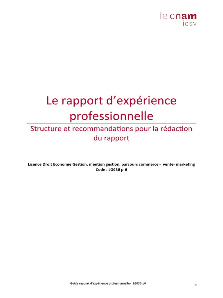 Guide du rapport d'expérience professionnelle | PDF | Linguistique