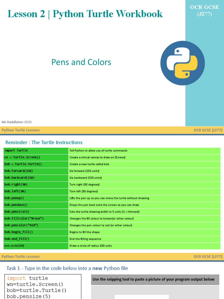 Python Turtle Lesson 2 - Workbook | PDF | Computing