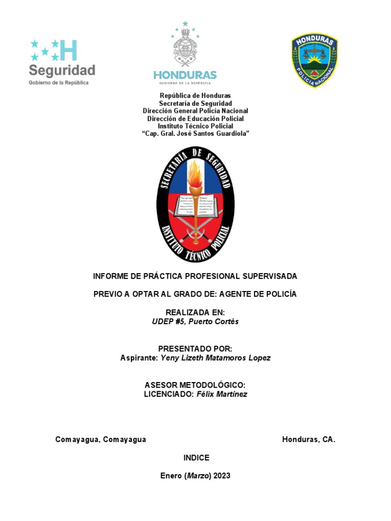 Informe de Práctica Profesional Itp | PDF | Policía | Justicia penal