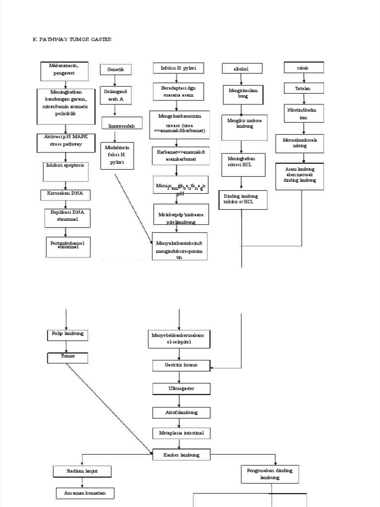 PDF Pathway Tumor Gaster | PDF