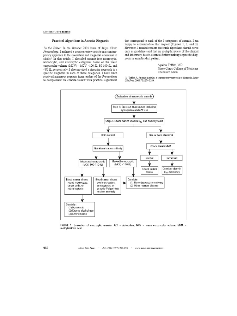 2004 useful flow charts for anemia dx | PDF