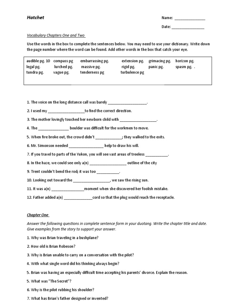 Hatchet CH 1 and 2 Questions | PDF | Foreign Language Studies