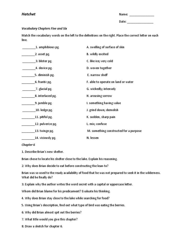 Hatchet CH 6 7 and 8 Questions | PDF