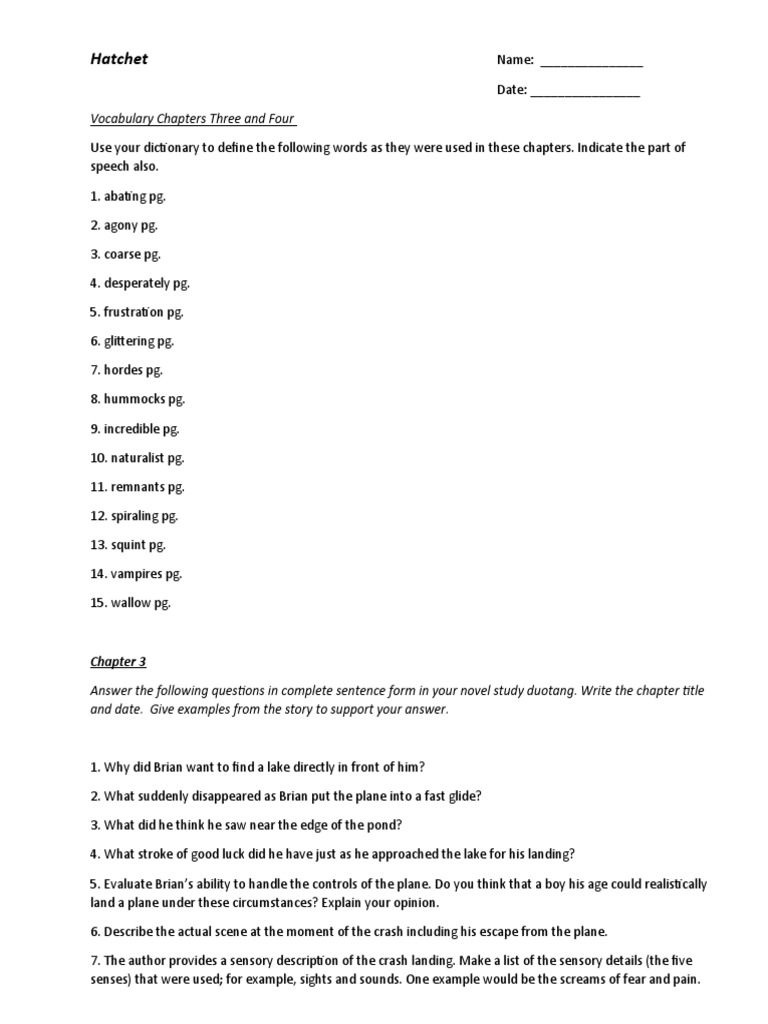 Hatchet CH 3 4 and 5 Questions | PDF