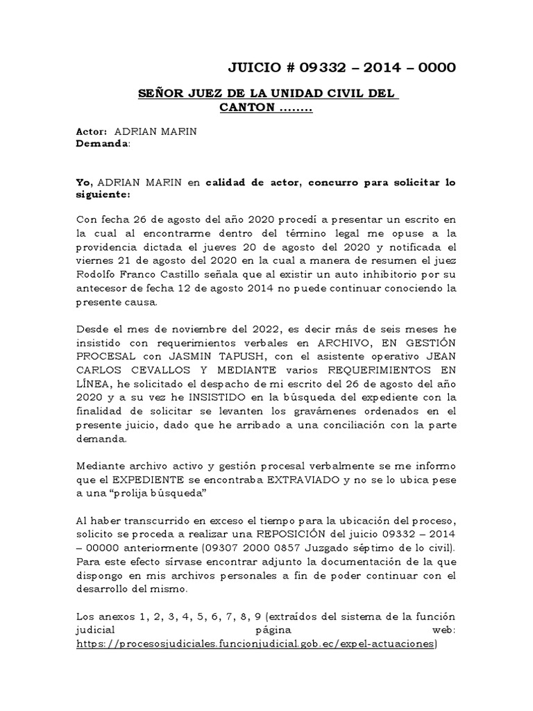 Modelo Escrito de Reposición | PDF