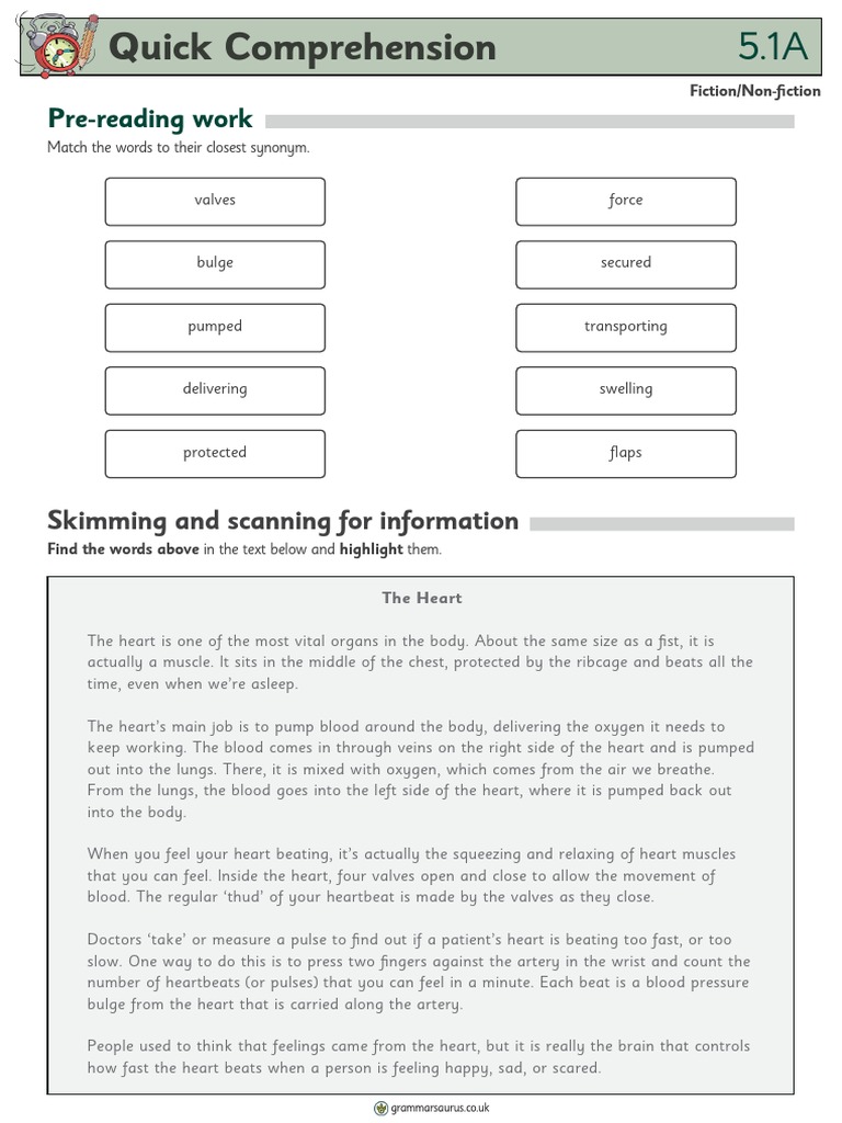 Y5 Quick Comprehension Pack 1 | PDF