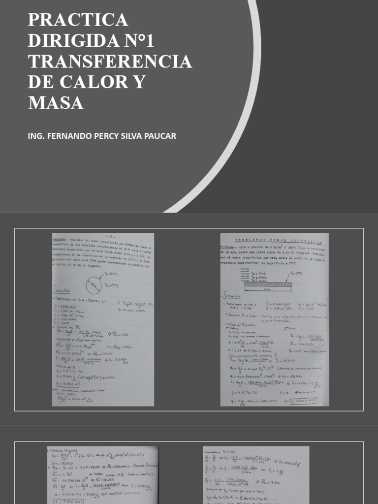 PRACTICA DIRIGIDA N°1 - Solucion | PDF