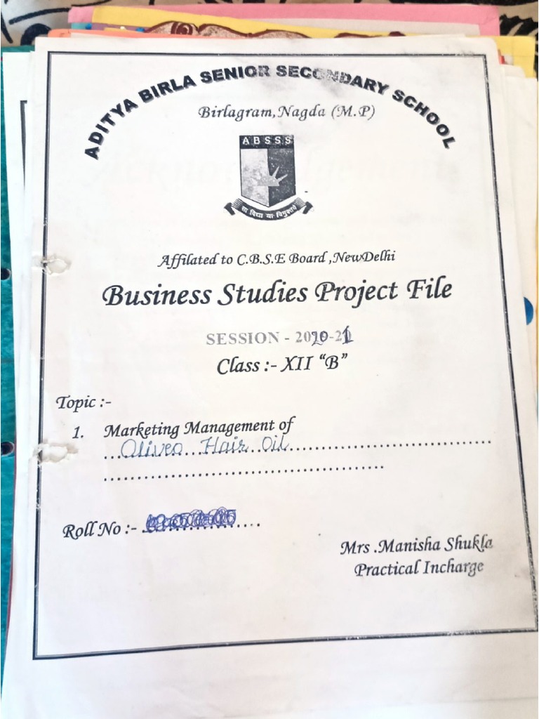 Business Studies Project Sample | PDF