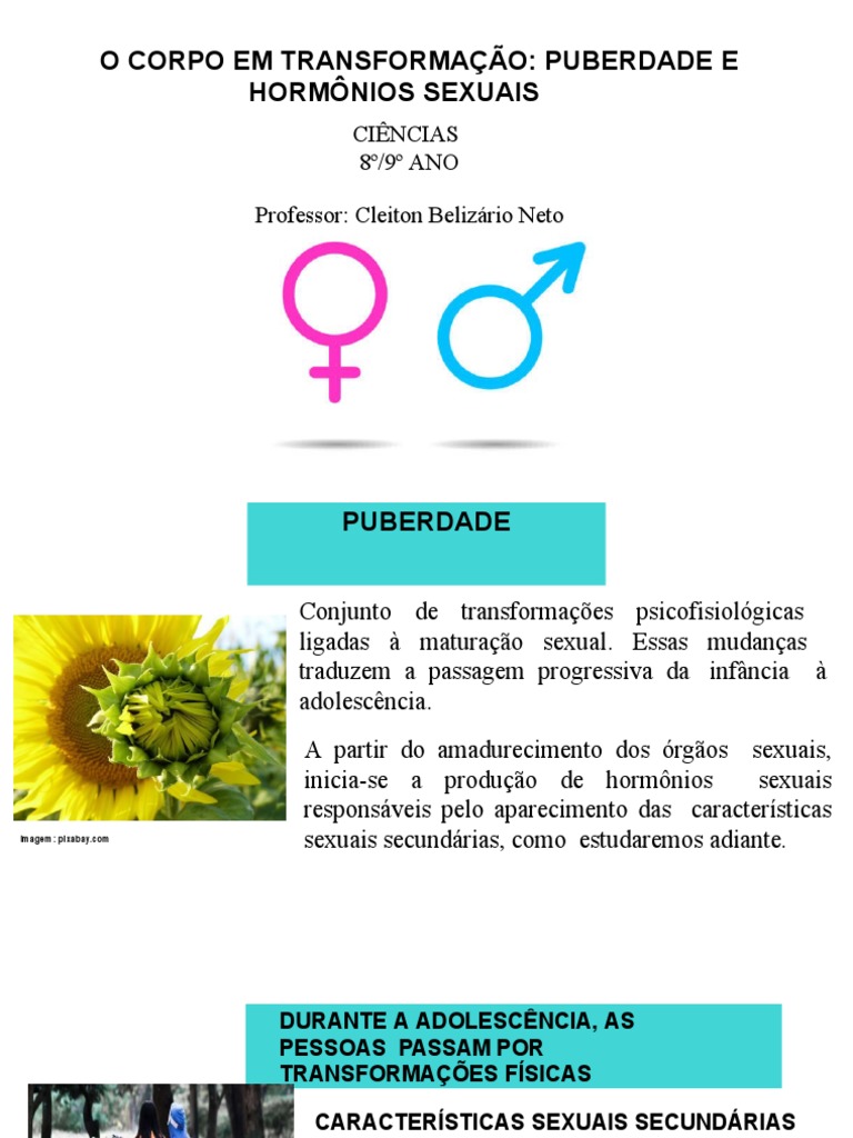 Puberdade e Hormonios Sexuais | PDF