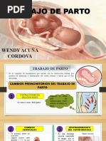 Curva de Friedman en Partos Eutócicos | PDF | Parto | Salud maternal