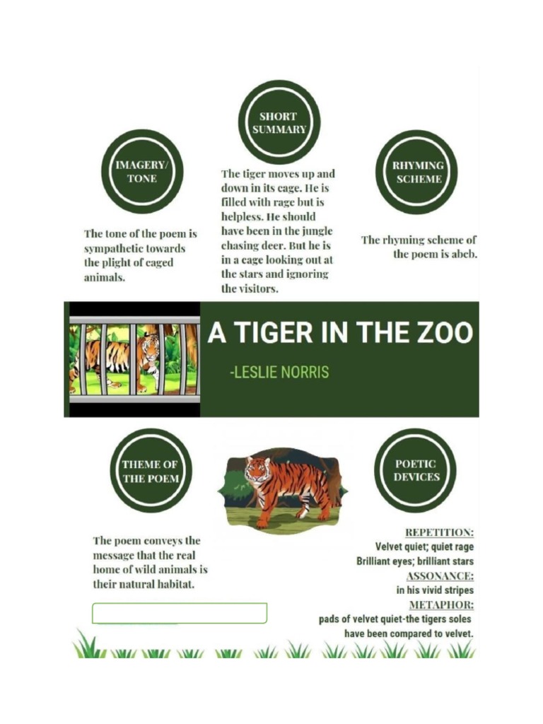 TIGER -MIND MAP | PDF