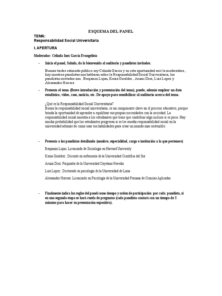 Esquema Del Panel | PDF