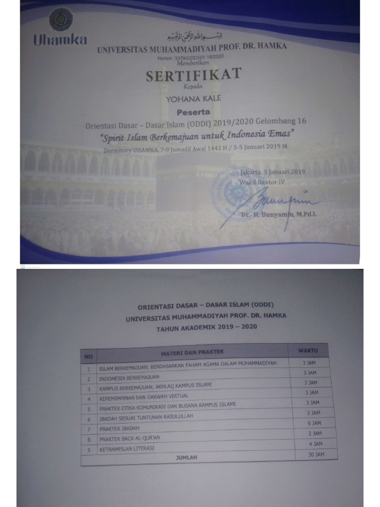 Sertifikat ODDI | PDF