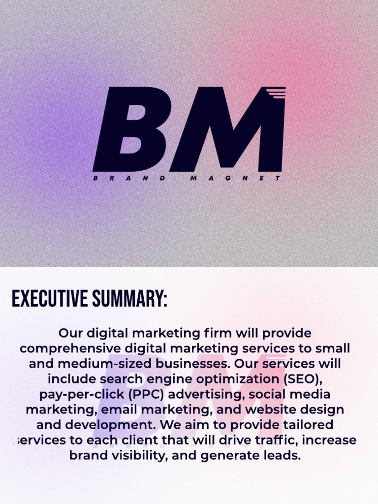 BM Plan | PDF