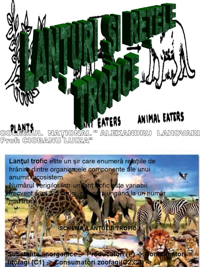 Lant Trofic | PDF