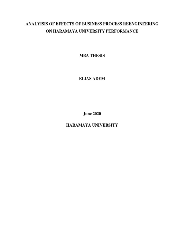 Elias Adem Thesis | PDF | Business Process | Economies