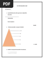 GJEOGRAFIA 6 Modele Testesh | PDF