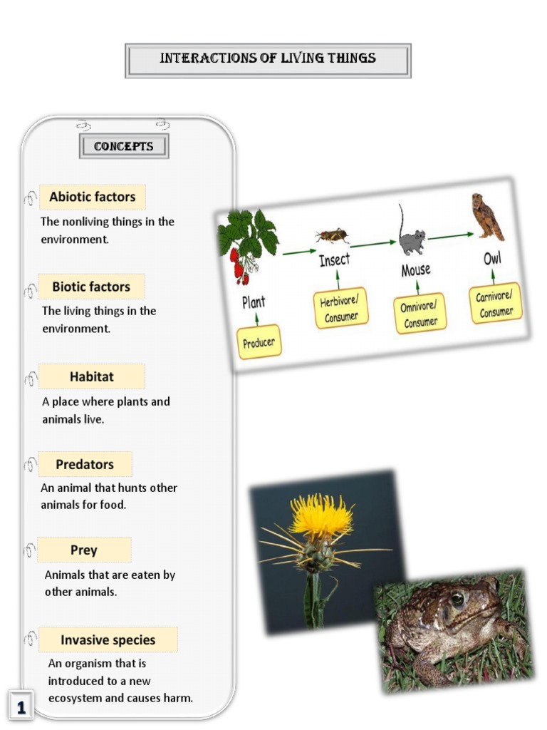 Interactions of Living Things | PDF | Ecosystem | Ecological Niche