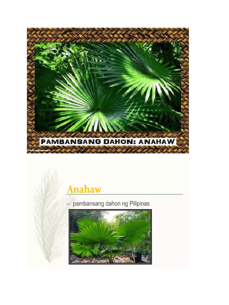 Pambansang Dahon | PDF