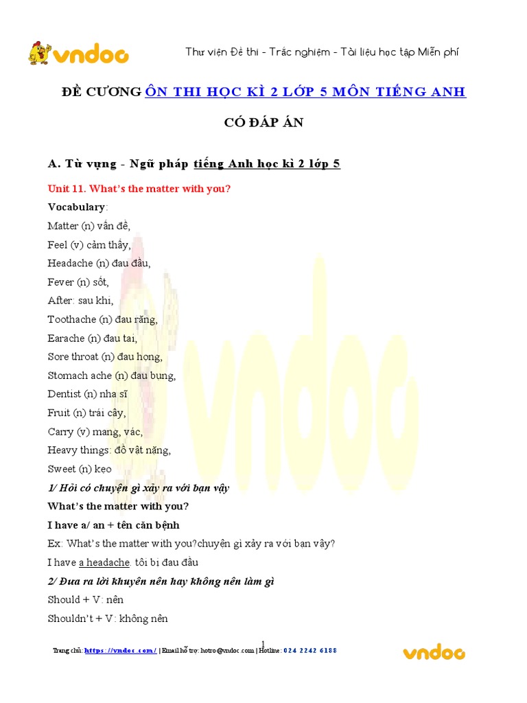 De Cuong On Thi Hoc Ki 2 Lop 5 Mon Tieng Anh Theo Tung Unit | PDF