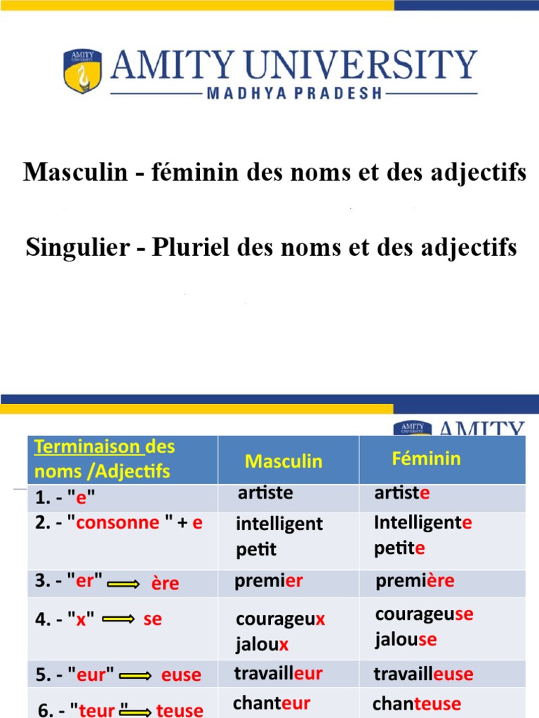 Masculin et Féminin des Noms et Adjectifs | PDF | Genre grammatical ...